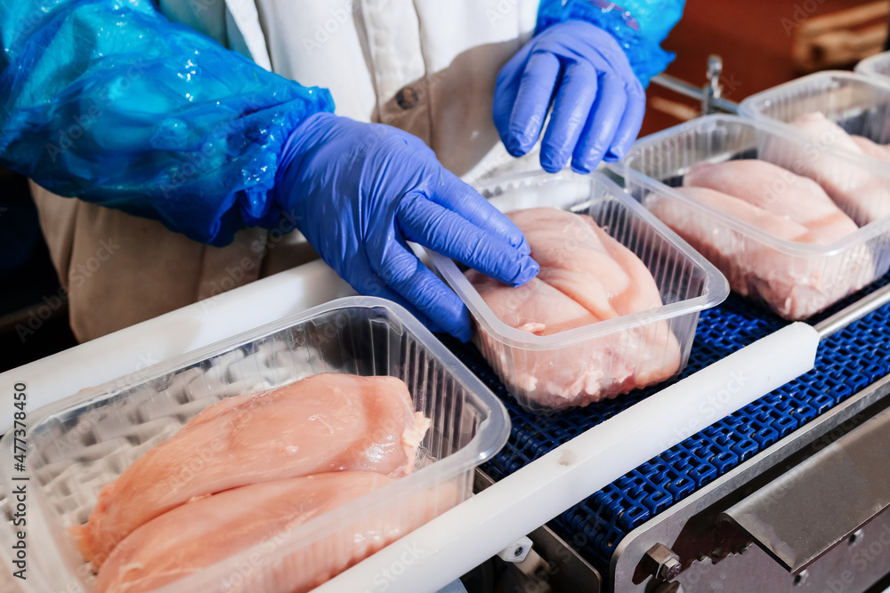 Meat processing plant. Production line of meat.Line for the production ...