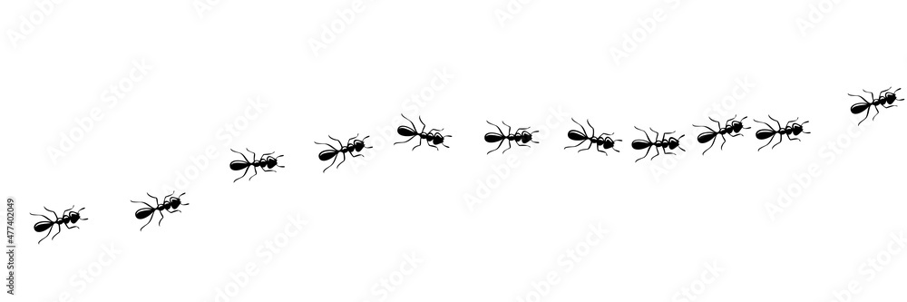 Ants marching in trail searching food. Ant path isolated in white background. Vector ...
