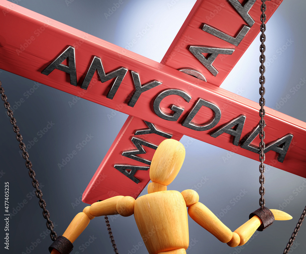 Amygdala control, power, influence and manipulation symbolized by ...