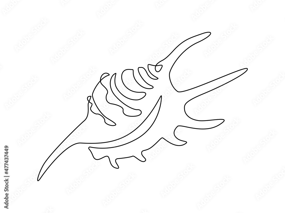 Sea snail shell murex. Continuous one line drawing of mollusk seashell ...