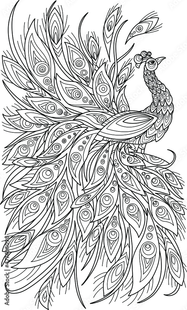 Adult Coloring Pages Peacock