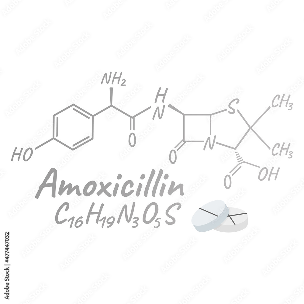 Amoxicillin antibiotic chemical formula and composition, concept ...