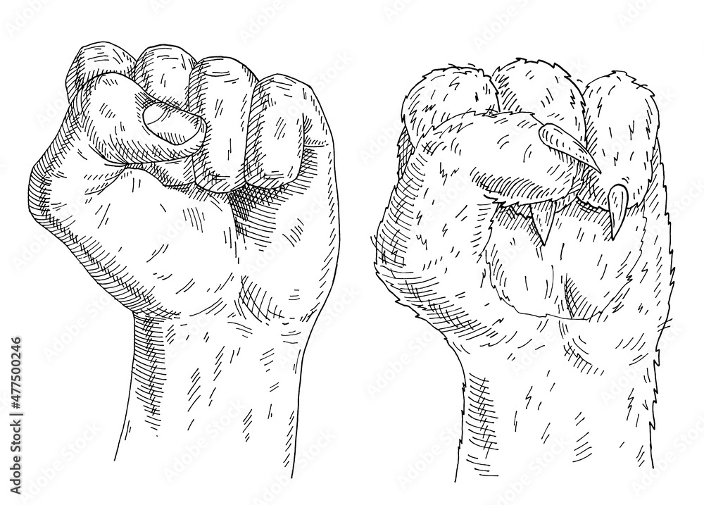 Cat paw and human hand with a clenched fist. Vintage monochrome ...
