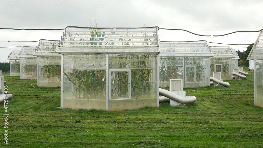 Station greenhouse science research open top chambers climate change ...