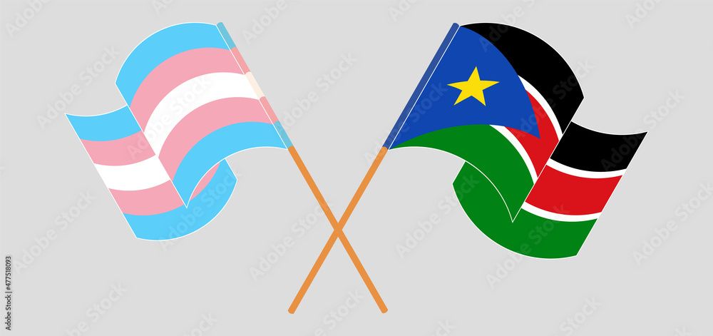 Crossed and waving flags of Transgender Pride and South Sudan Stock ...
