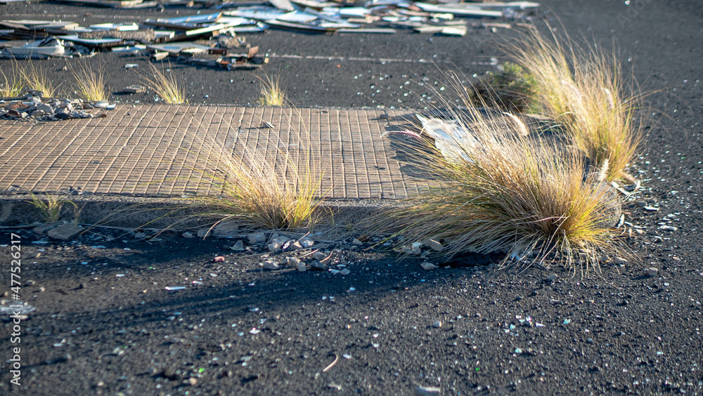 rubble and garbage thrown and abandoned on the street in a vacant lot ...