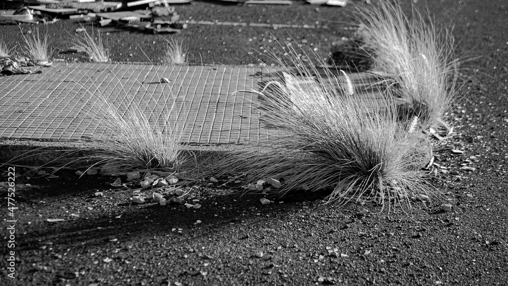 rubble and garbage thrown and abandoned on the street in a vacant lot ...
