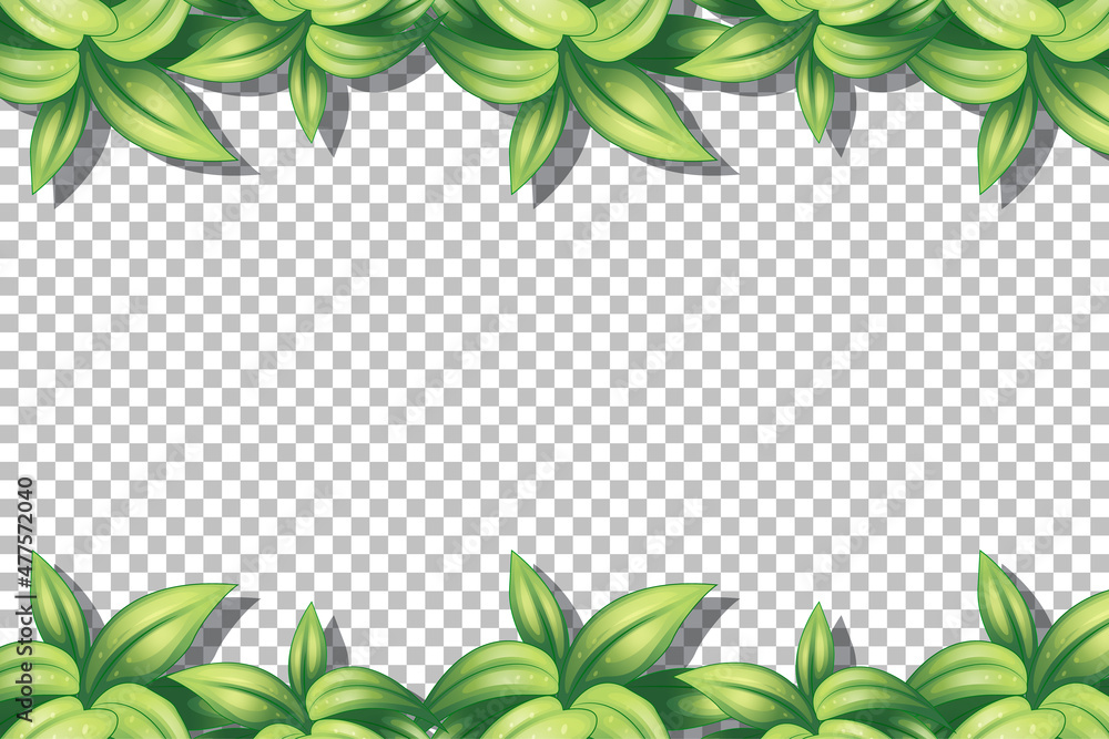 Nature plants frame transparent background Stock Vector | Adobe Stock