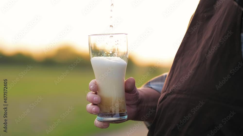 Handsome old men drinking beer. Senior man is drinking lager beer in ...