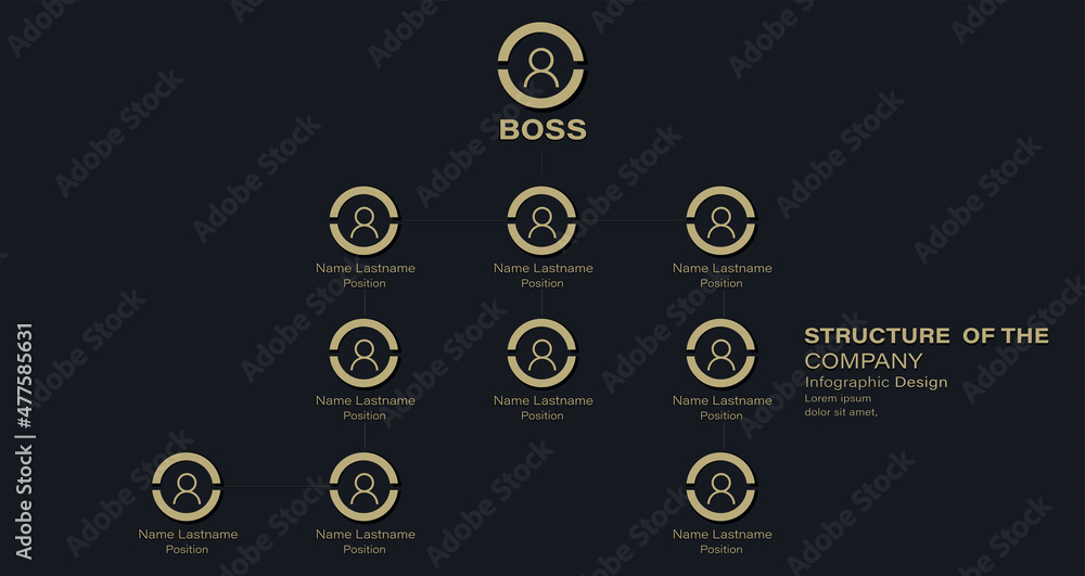 Structure of the company. Business hierarchy organogram chart ...