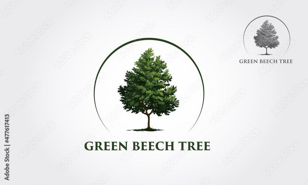 Green Beech Tree Logo Template. This beautiful tree is a symbol of life ...