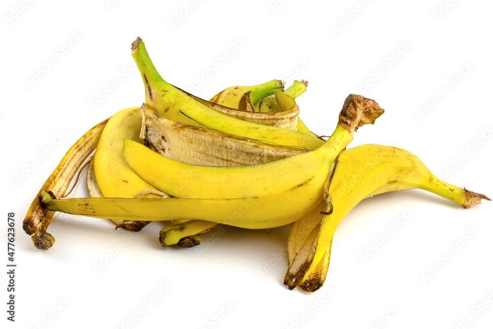 Banana peels isolated on white background. Food waste. Organic ...