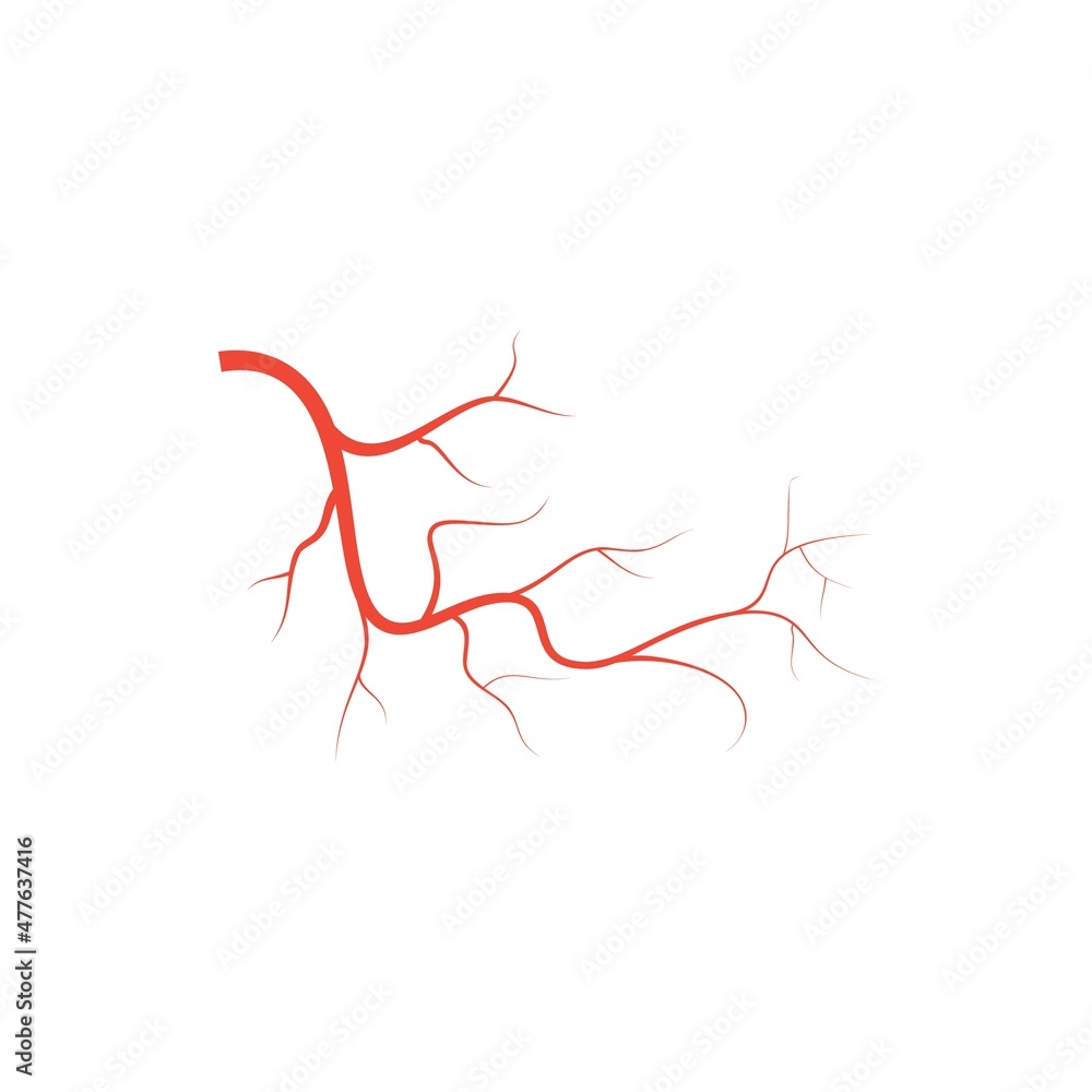 Human red eye veins, anatomy blood vessel arteries illustration. Vector ...