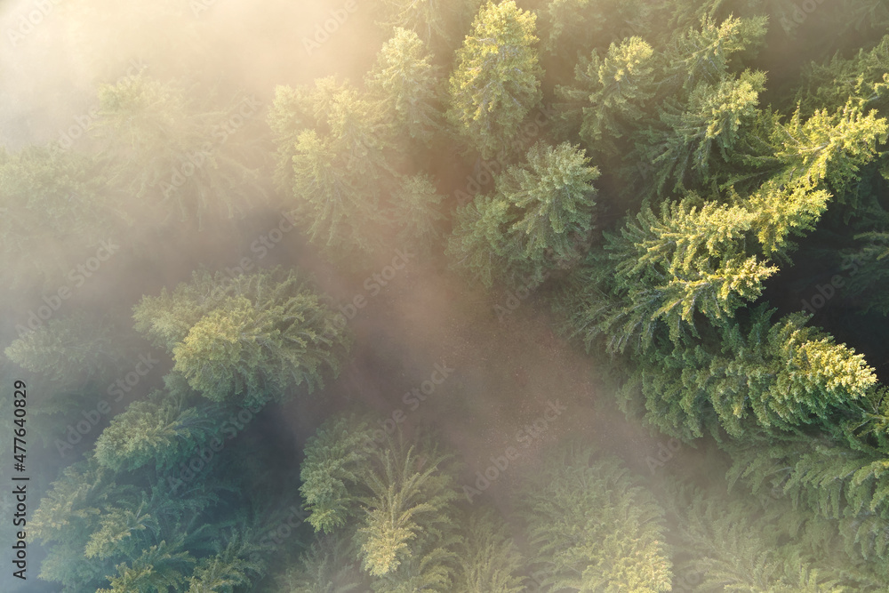 Aerial view of brightly illuminated with sunlight beams foggy dark ...