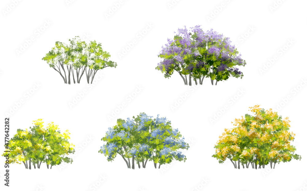 Vetor de Vector of abstract watercolor tree side view isolated on white ...