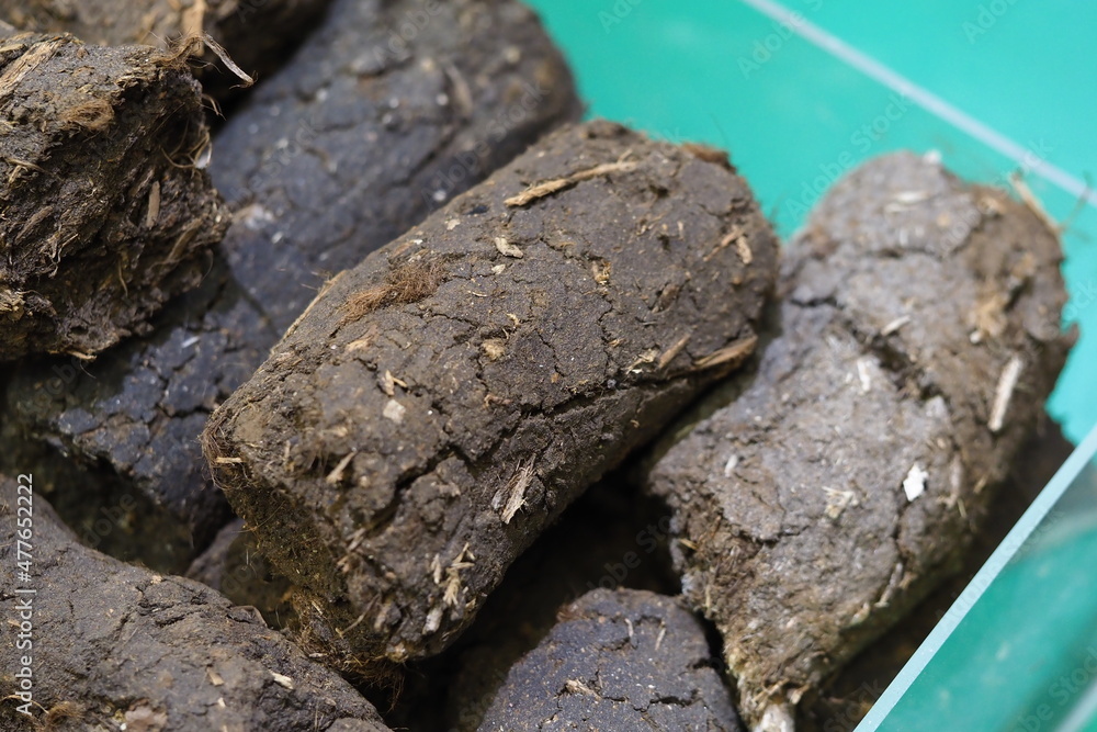 peat soil for growing plants Stock Photo | Adobe Stock