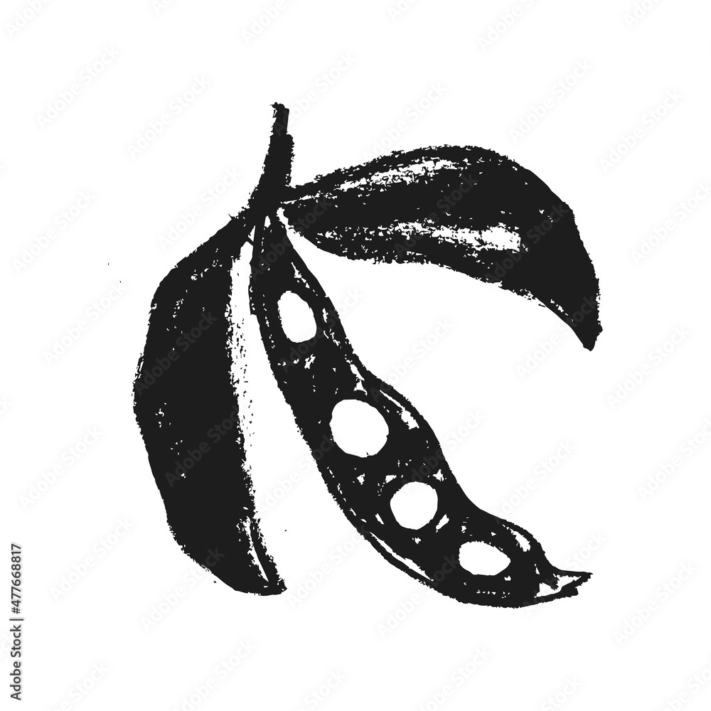 Hand Drawn Soybean Drawing For Soy Sauce Label Design Whole Pea Pod