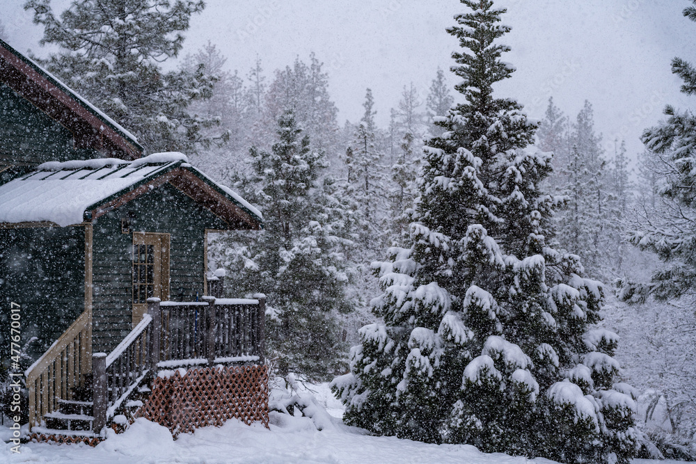House in Falling Snow Stock Photo | Adobe Stock