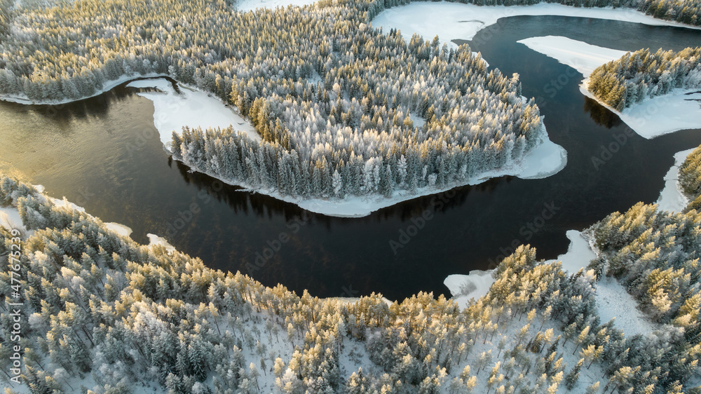 Aerial view of snowy winter forest with black river. Drone photography ...