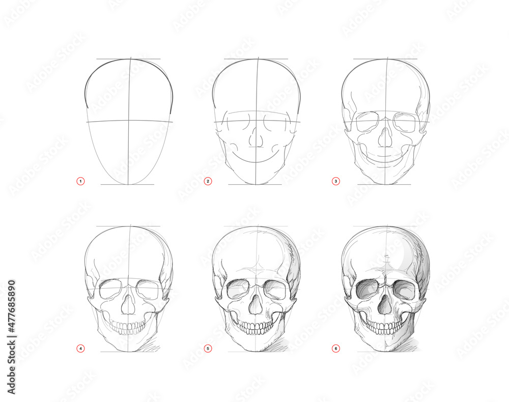 Page shows how to learn to draw sketch of human skull. Creation step by ...
