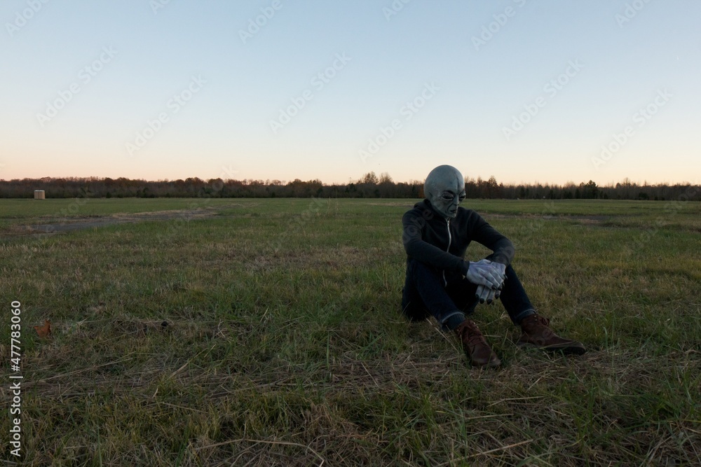 Stranded Alien at the UFO crash site Stock Photo | Adobe Stock