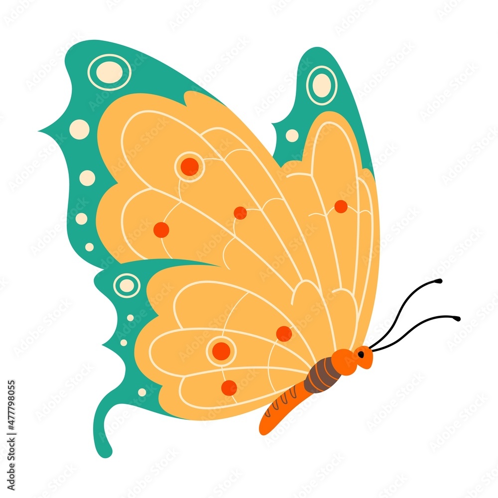 Butterfly vector illustration clipart. Cute Butterfly isolated. Stock Vector | Adobe Stock
