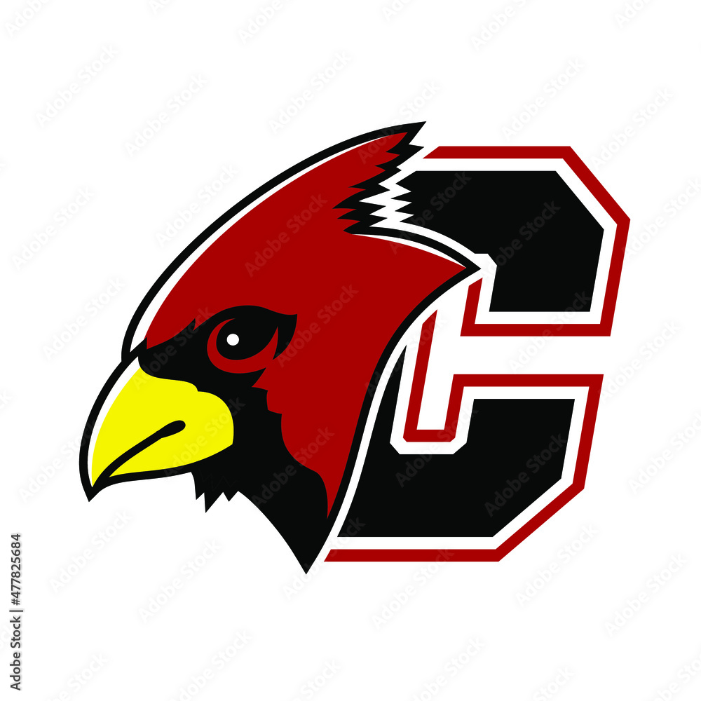 Cardinal Head Vector