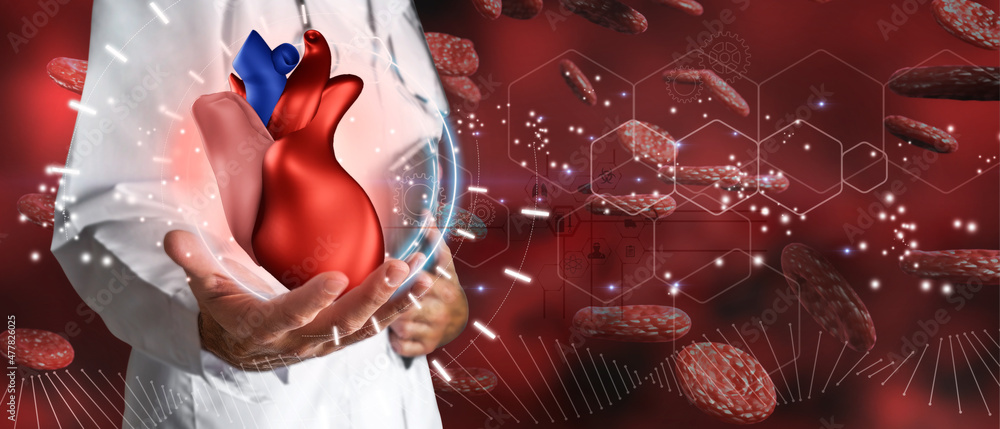 Doctor holding a 3D heart surrounded by red blood cells in concept of ...