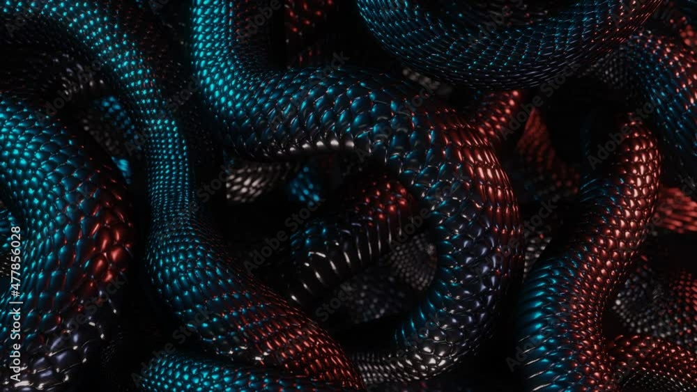 Pile of Black Snakes Top View. 3D Looped Animation Stock ビデオ | Adobe Stock