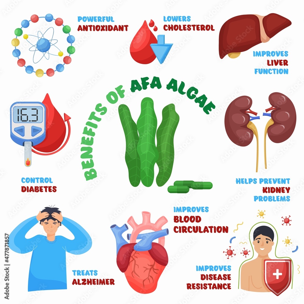 Afa algae benefits, superfood for healthy eating. Seaweed, nutritious ...