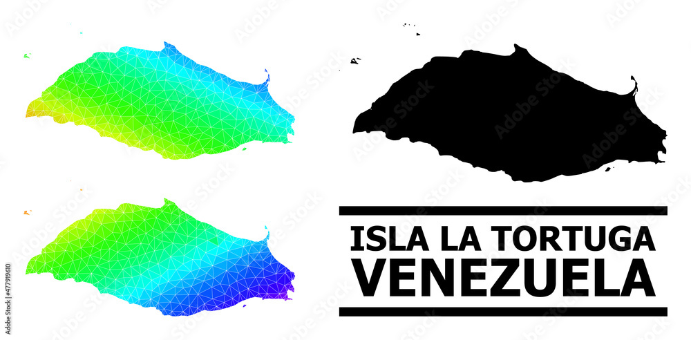 Vector low-poly spectral colored map of Isla La Tortuga with diagonal ...