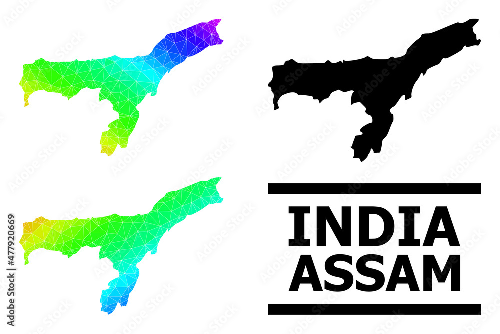 Vector low-poly spectral colored map of Assam State with diagonal ...