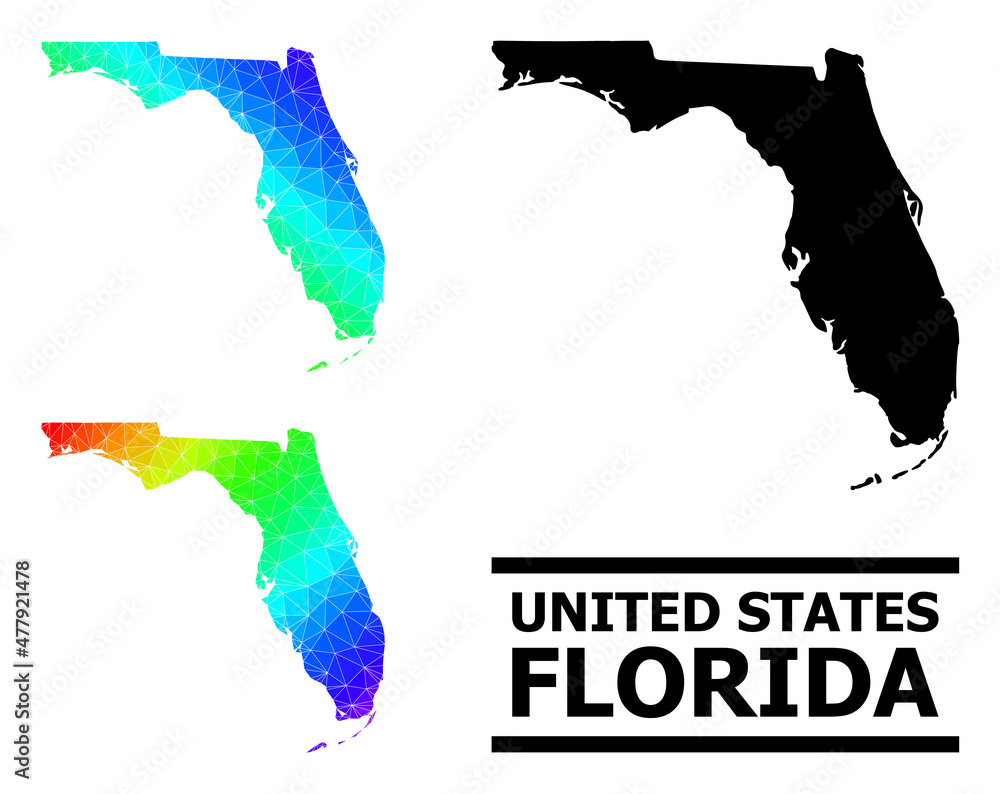 Vector lowpoly spectrum colored map of Florida State with diagonal ...