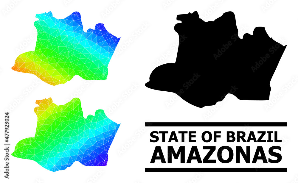 Vector low-poly rainbow colored map of Amazonas State with diagonal ...