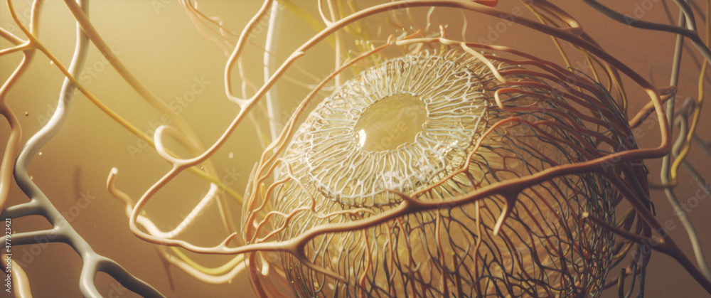 Artistic close up of human eye anatomy in gold with lights Stock ...