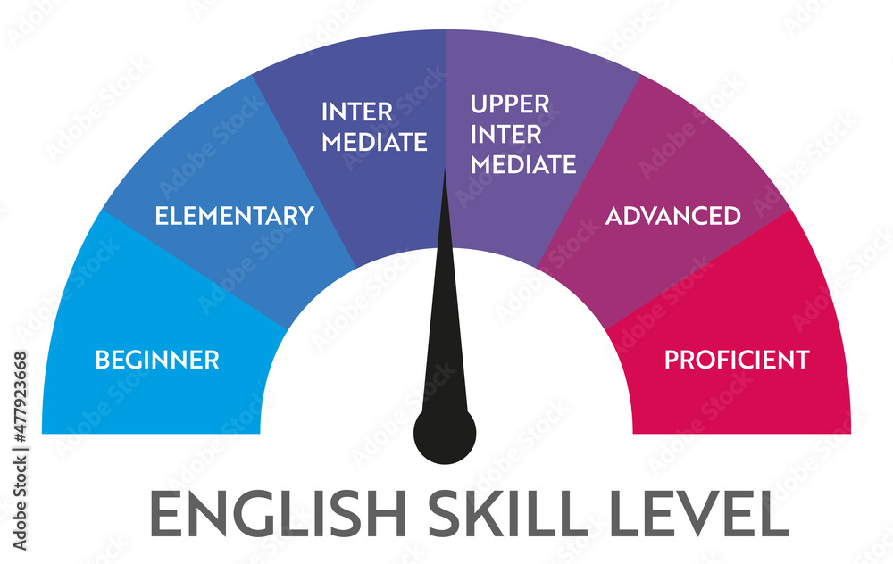 Skill level meter indicator. Business vector chat infographic ...