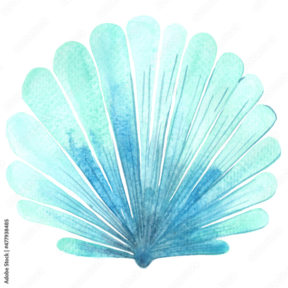 Blue seashell watercolor illustration for decoration on marine life and ...
