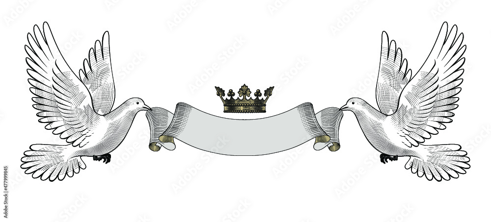 Pigeons carry a retro banner. Flying Art Template. Vintage engraving ...