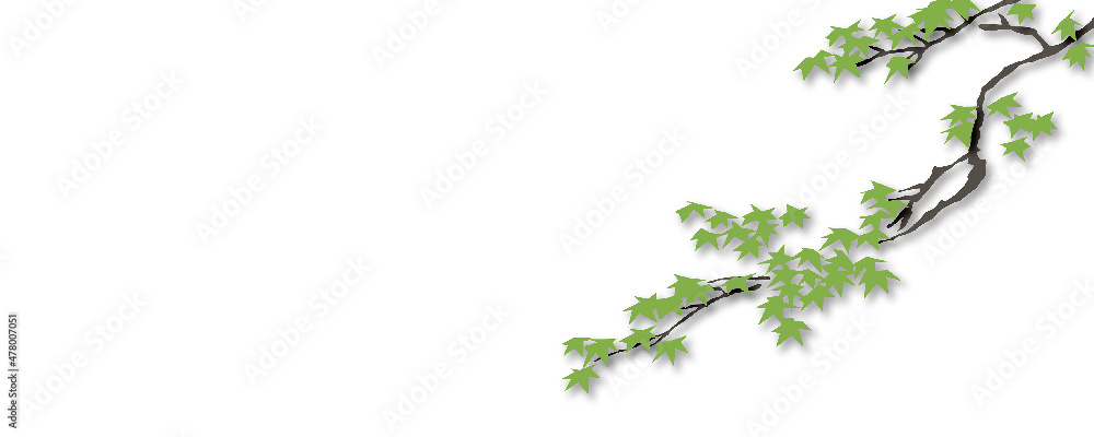 Vector, japanese maple Stock Vector | Adobe Stock