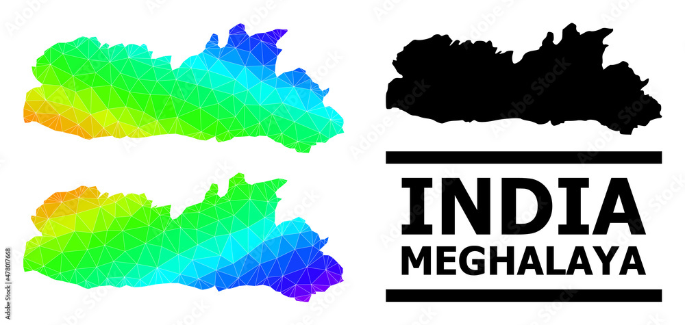 Vector low-poly spectrum colored map of Meghalaya State with diagonal ...
