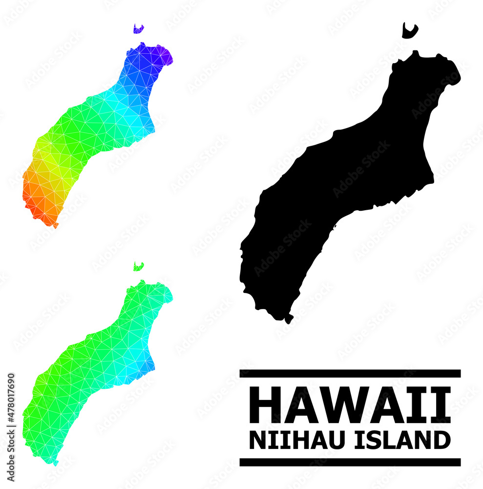 Vector low-poly spectrum colored map of Niihau Island with diagonal ...