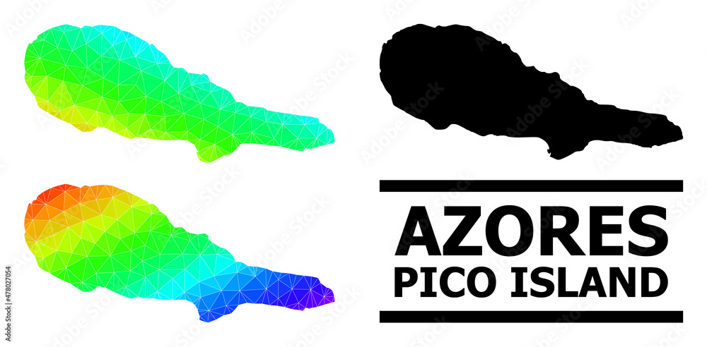 Vector low-poly rainbow colored map of Pico Island with diagonal ...