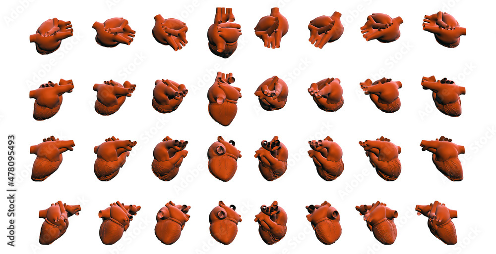 3d human heart 3d model render in 3d from different angles for vfx ...