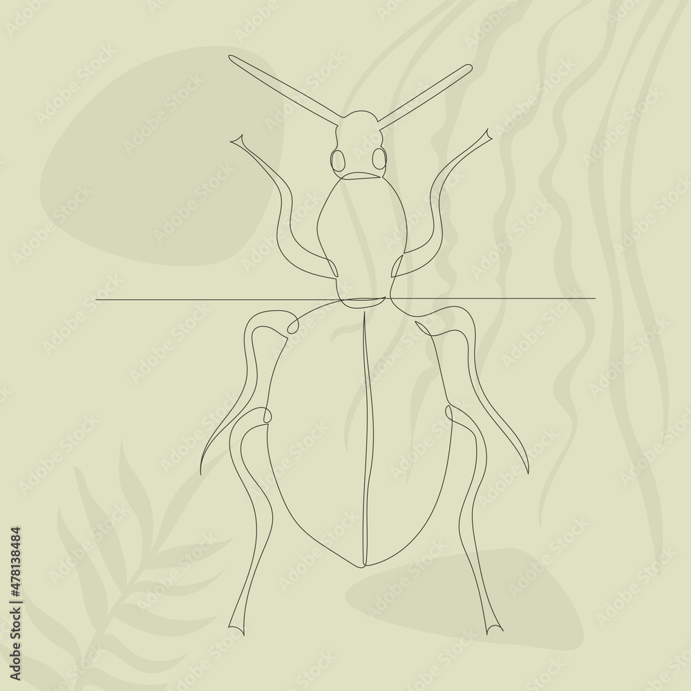 beetle, insect drawing by line, on an abstract background, vector ...