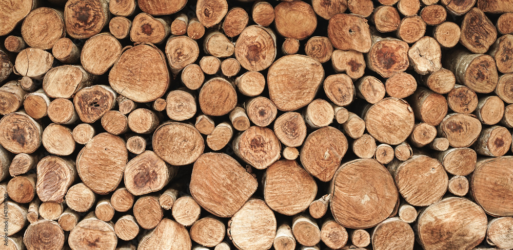 wall of wood stump background Stock Photo | Adobe Stock