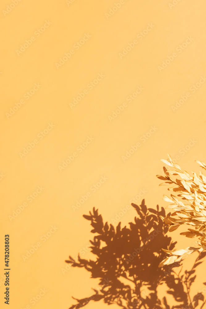 Shadows of twigs of dry plants on the wall in orange color. Nature ...