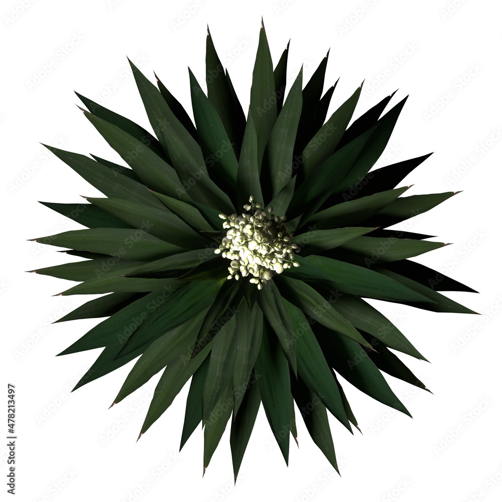 VEGETATION TOP VIEW - TREES PLANTS AND BUSHES IN PLAN Stock ...