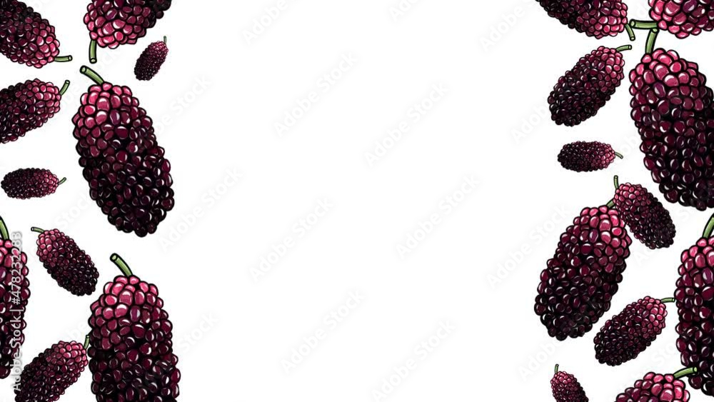 Animated hand drawn fresh mulberries frame template design. Stock Video ...
