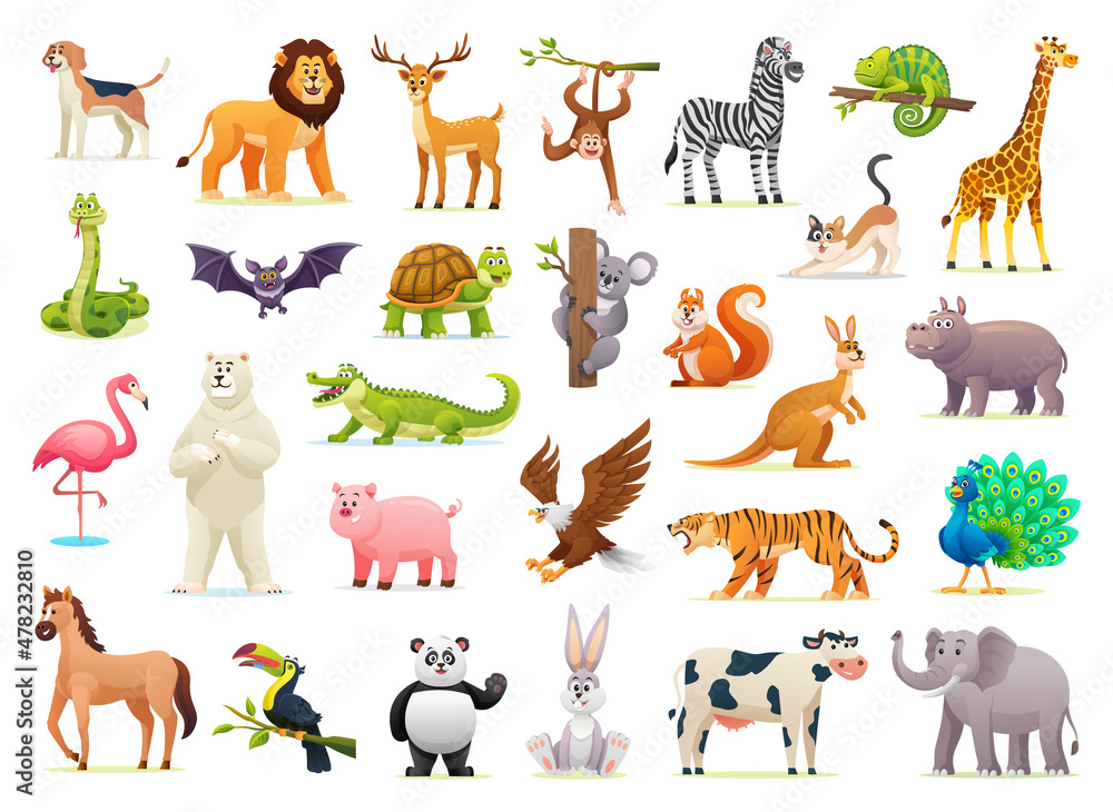 Collection of cute wild animal illustrations on white background Stock ...