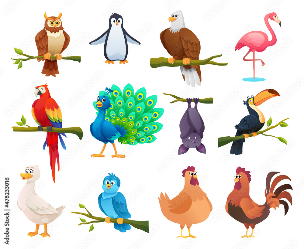 Collection of different birds in cartoon style Stock Vector | Adobe Stock